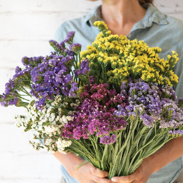 Statice Flowers - Etsy