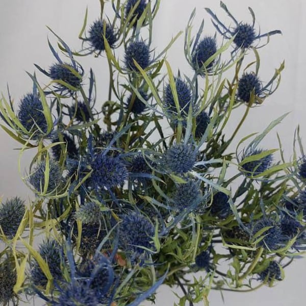 Blue Thistle Bouquet - Etsy