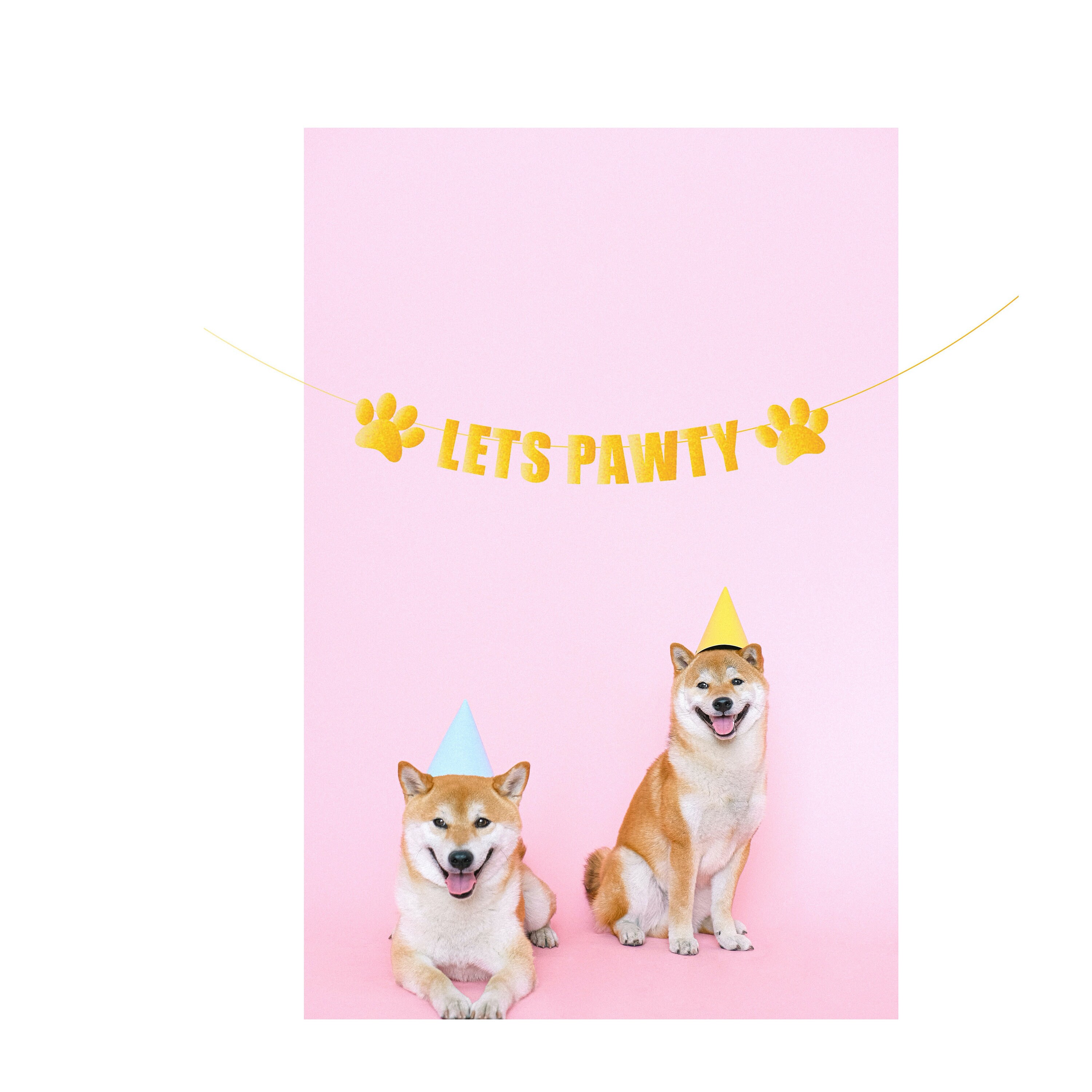 Lets Pawty Banner - Etsy