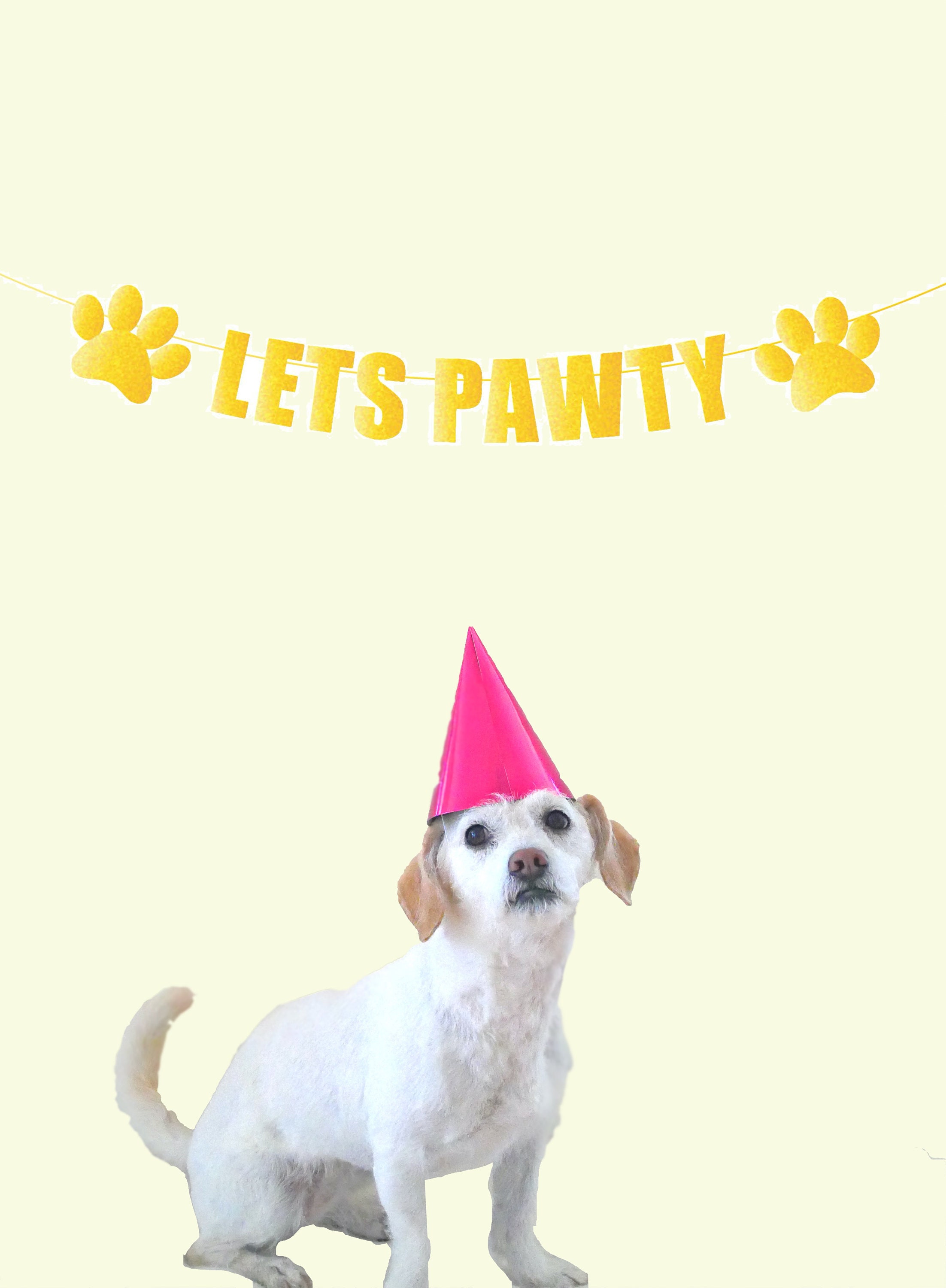 Lets Pawty Banner - Etsy