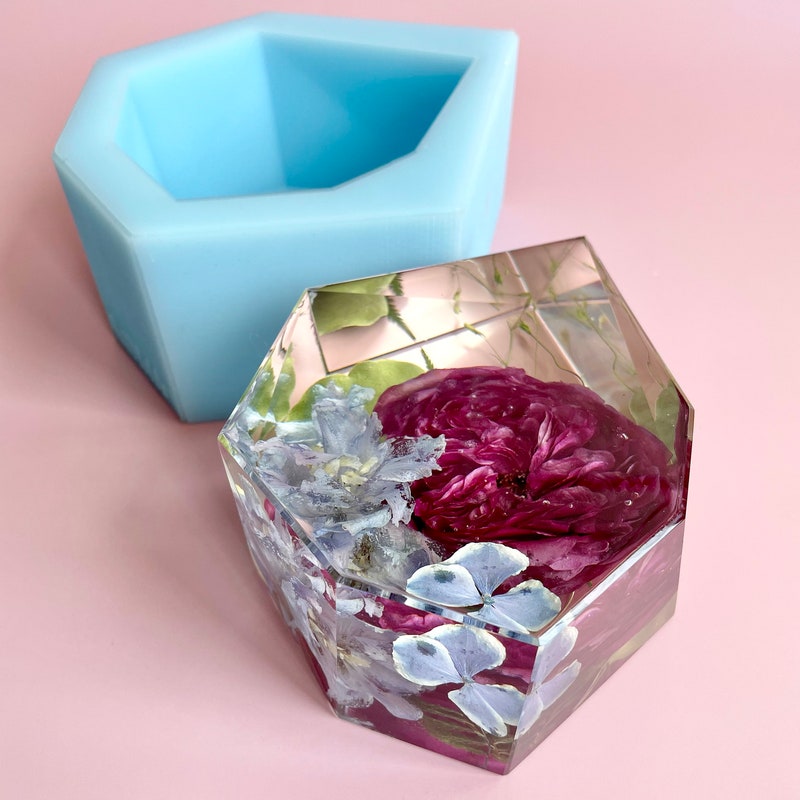 Mold for Display - Etsy