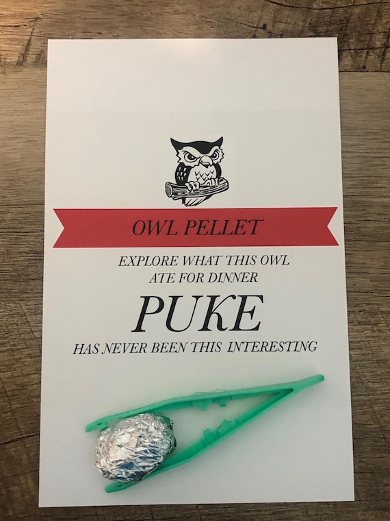 Owl Pellet Owl Puke Fun for Kids School Discovery Project - Etsy