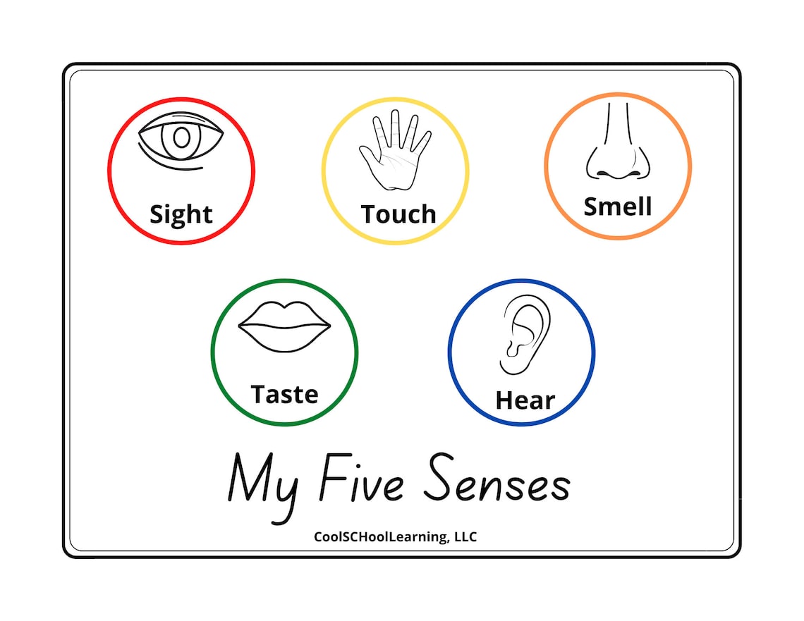 5 Senses Printable, Preschool Poster, Kindergarten Readiness, Kids ...