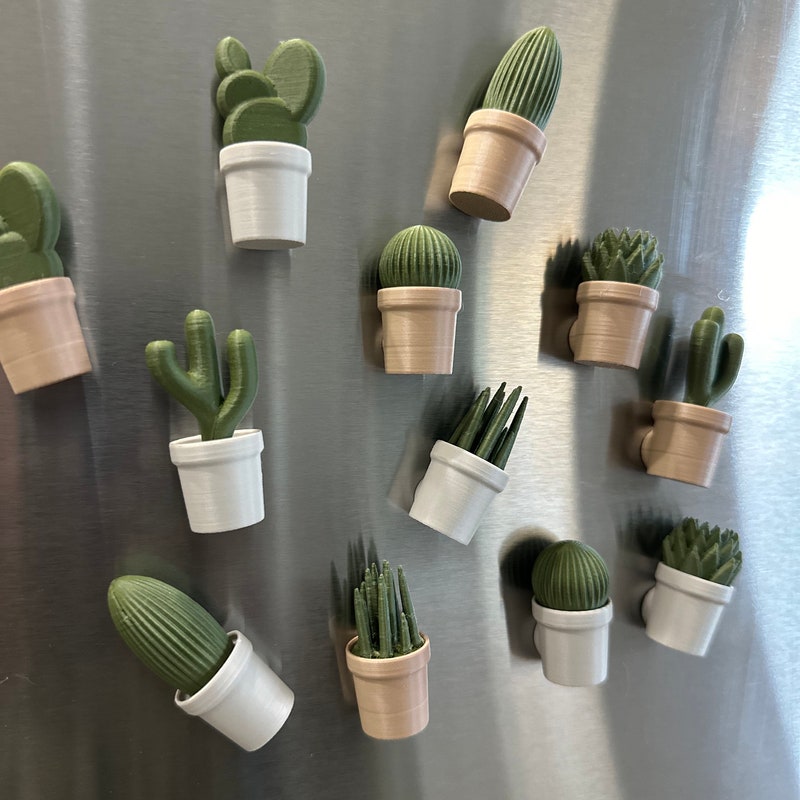 Succulent Magnet - Etsy