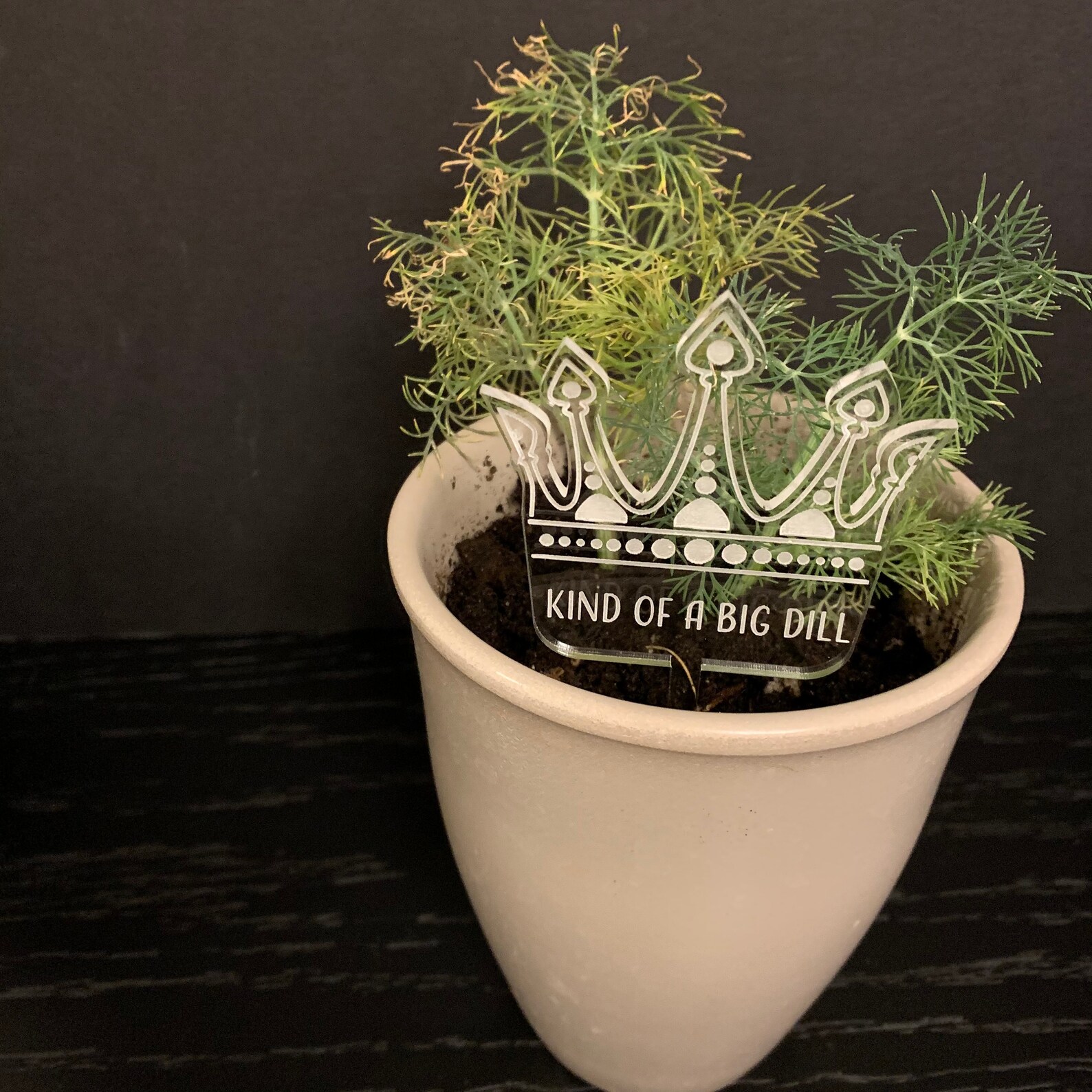 Set of 2 Plant Tags Acrylic Plant Tags Custom Plant Tags - Etsy