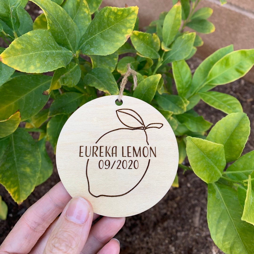 Custom Tree Tag Custom Plant Tag Wood Tag Plant - Etsy