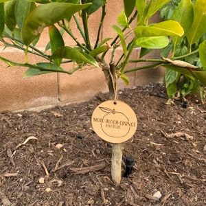 Custom Tree Tag, Custom Plant Tag, Wood Tag, Plant Accessories, Garden ...