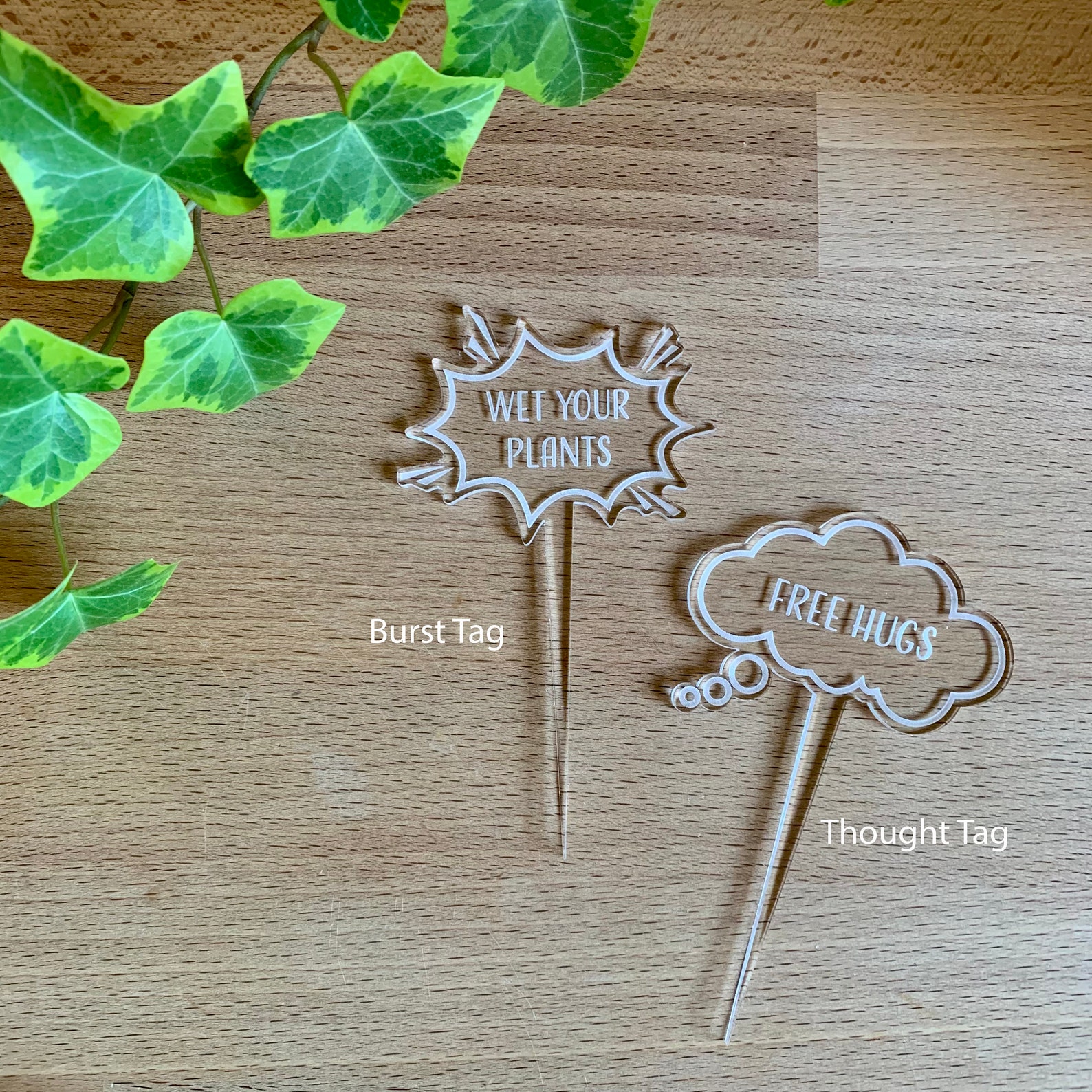 Set of 2 Plant Tags Acrylic Plant Tags Custom Plant Tags - Etsy