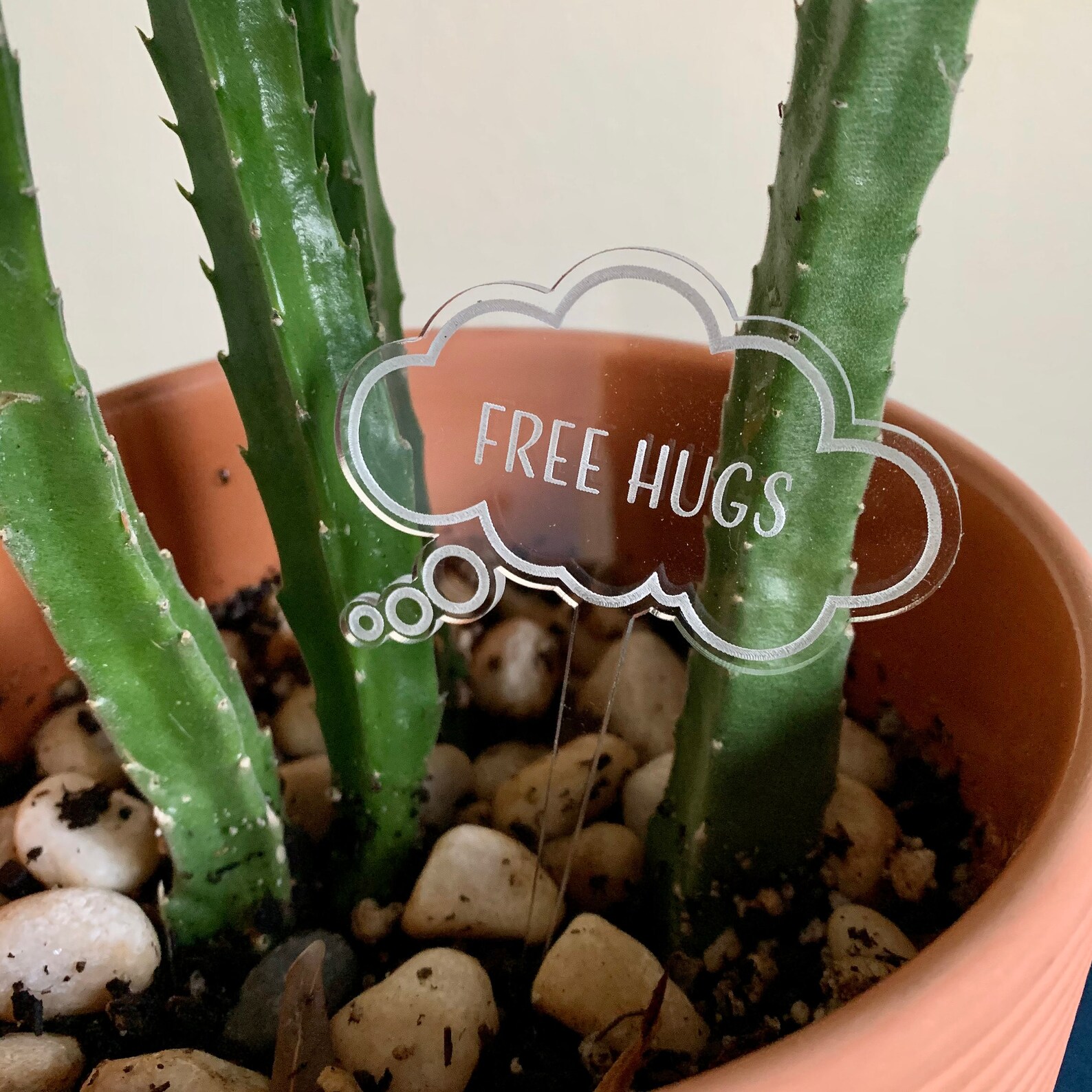 Set of 2 Plant Tags Acrylic Plant Tags Custom Plant Tags - Etsy