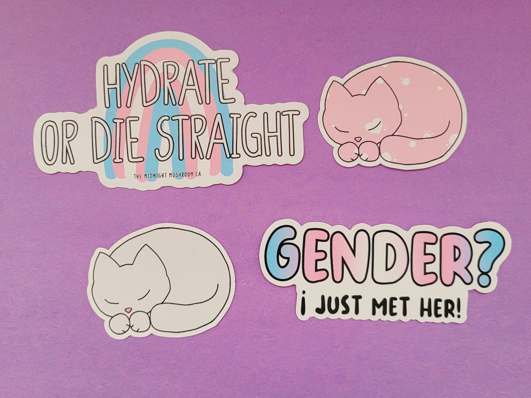 Trans Themed LGBTQIA Sticker Bundle Cute Sticker Bundle Hydrate or Die ...