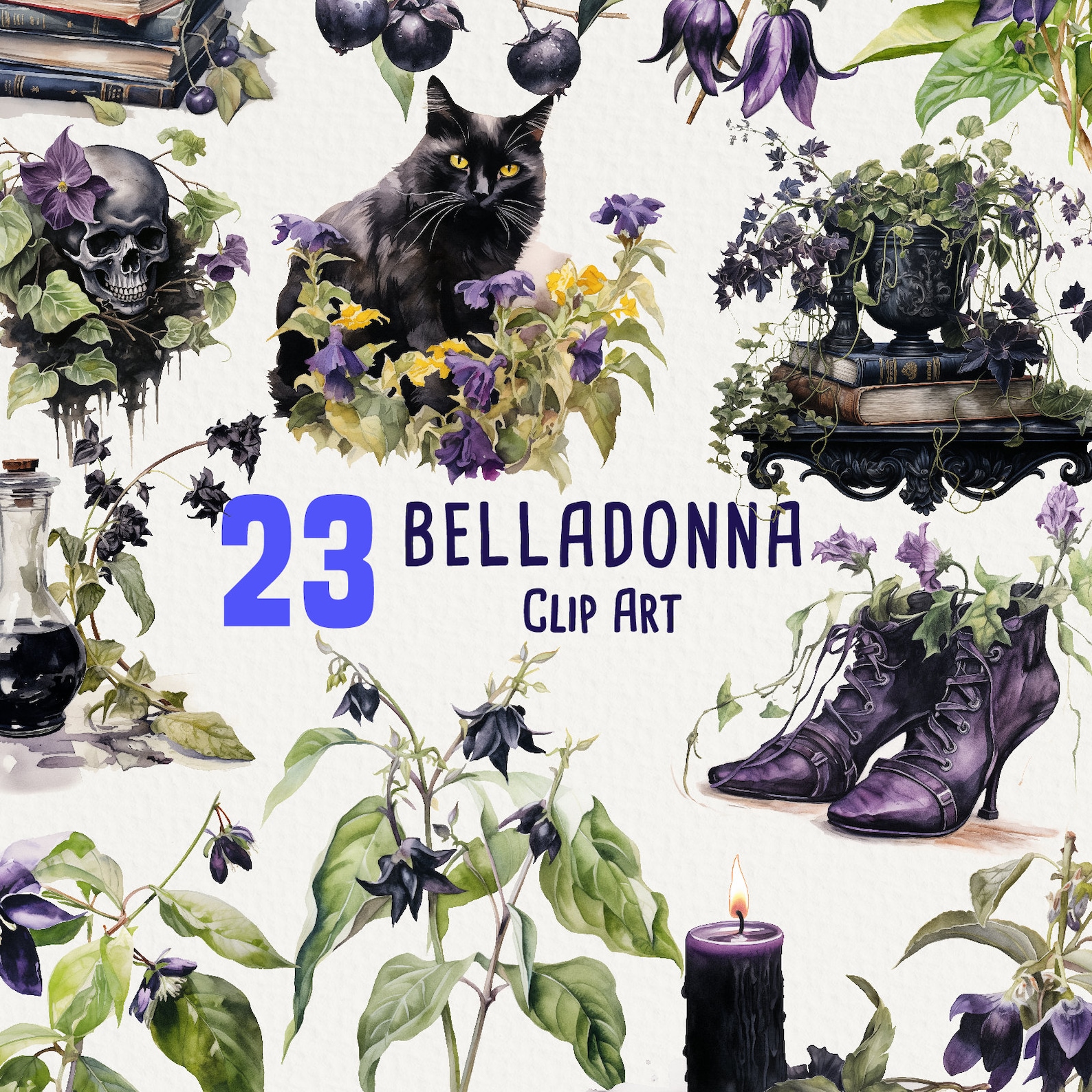 23 Belladonna Clipart, Watercolor Deadly Nightshade Art for Commercial ...