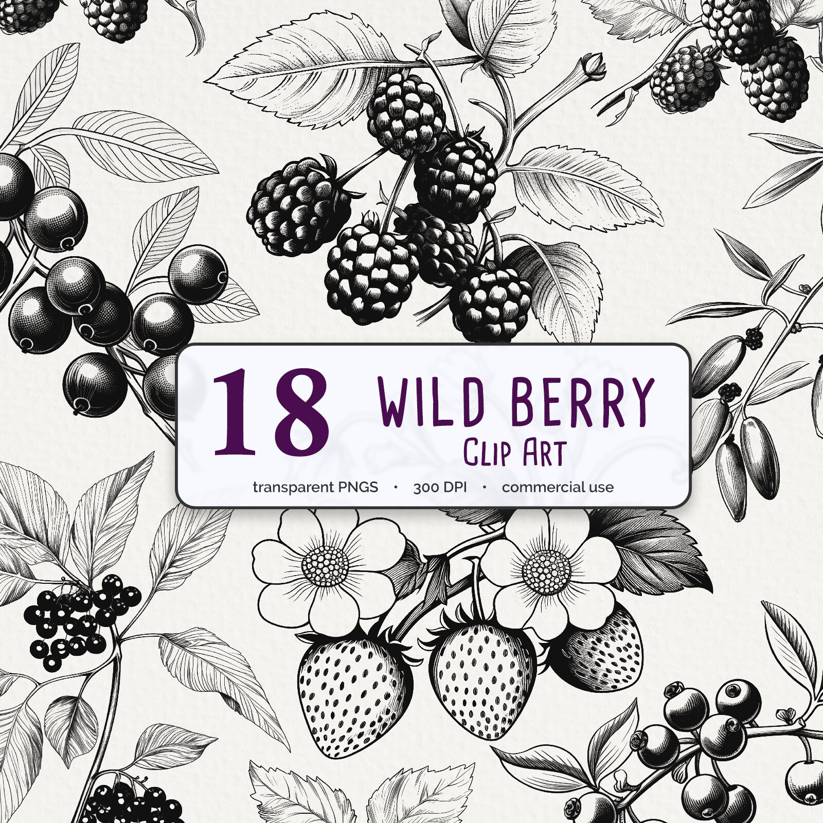 18 Wild Berries Clipart Ink Drawings for Commercial Use - Etsy
