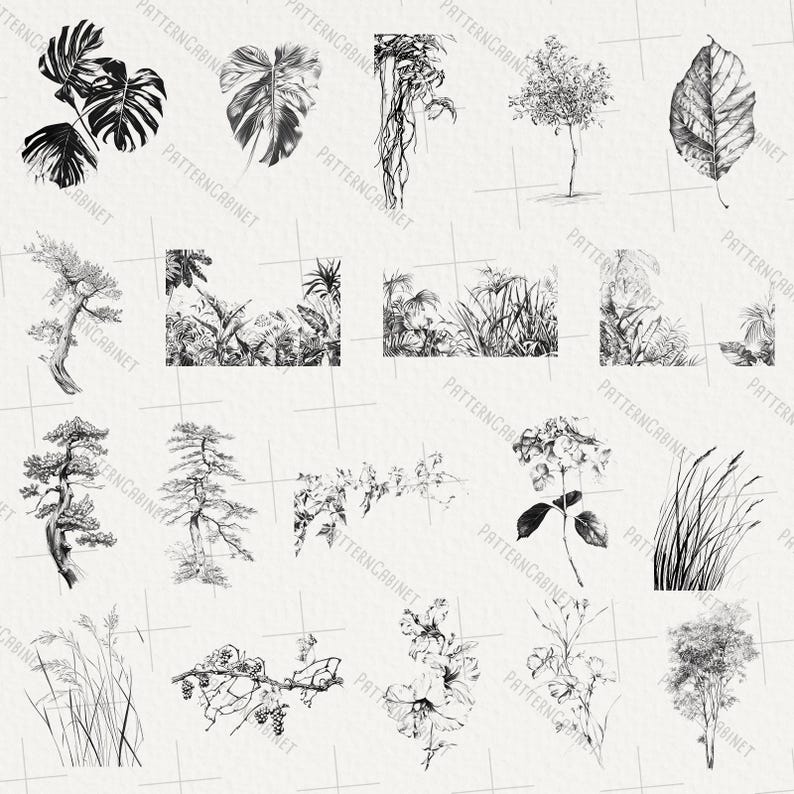 444 Vegetation Drawings, Plant Clipart for Commercial Use, Trees ...