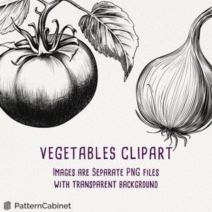 56 Vegetable Ink Drawing Clipart, Vegetable Art for Commercial Use ...