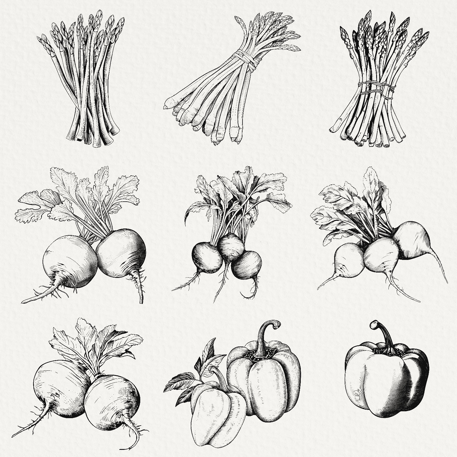 56 Vegetable Ink Drawing Clipart, Vegetable Art for Commercial Use ...