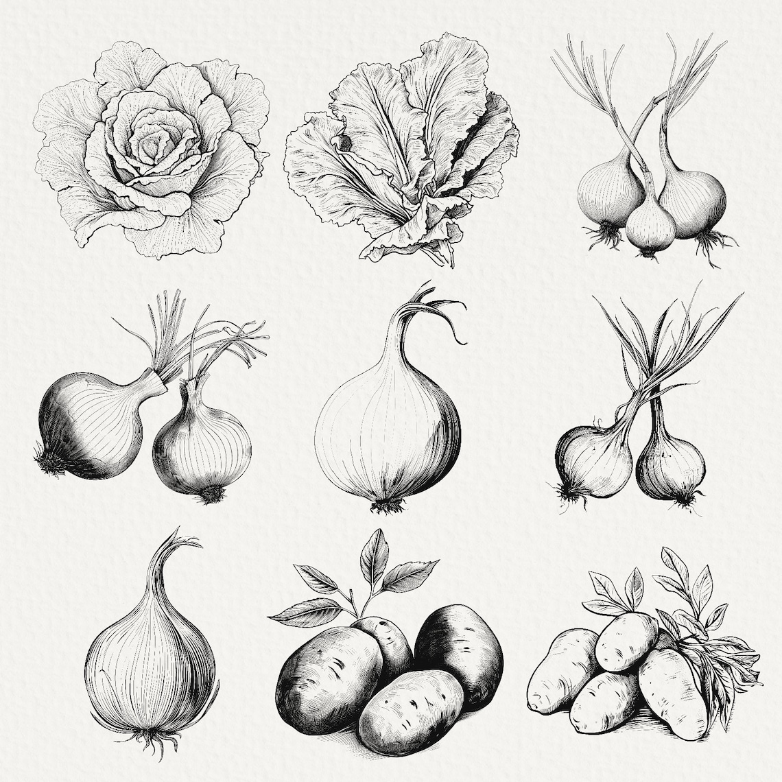 56 Vegetable Ink Drawing Clipart, Vegetable Art for Commercial Use ...