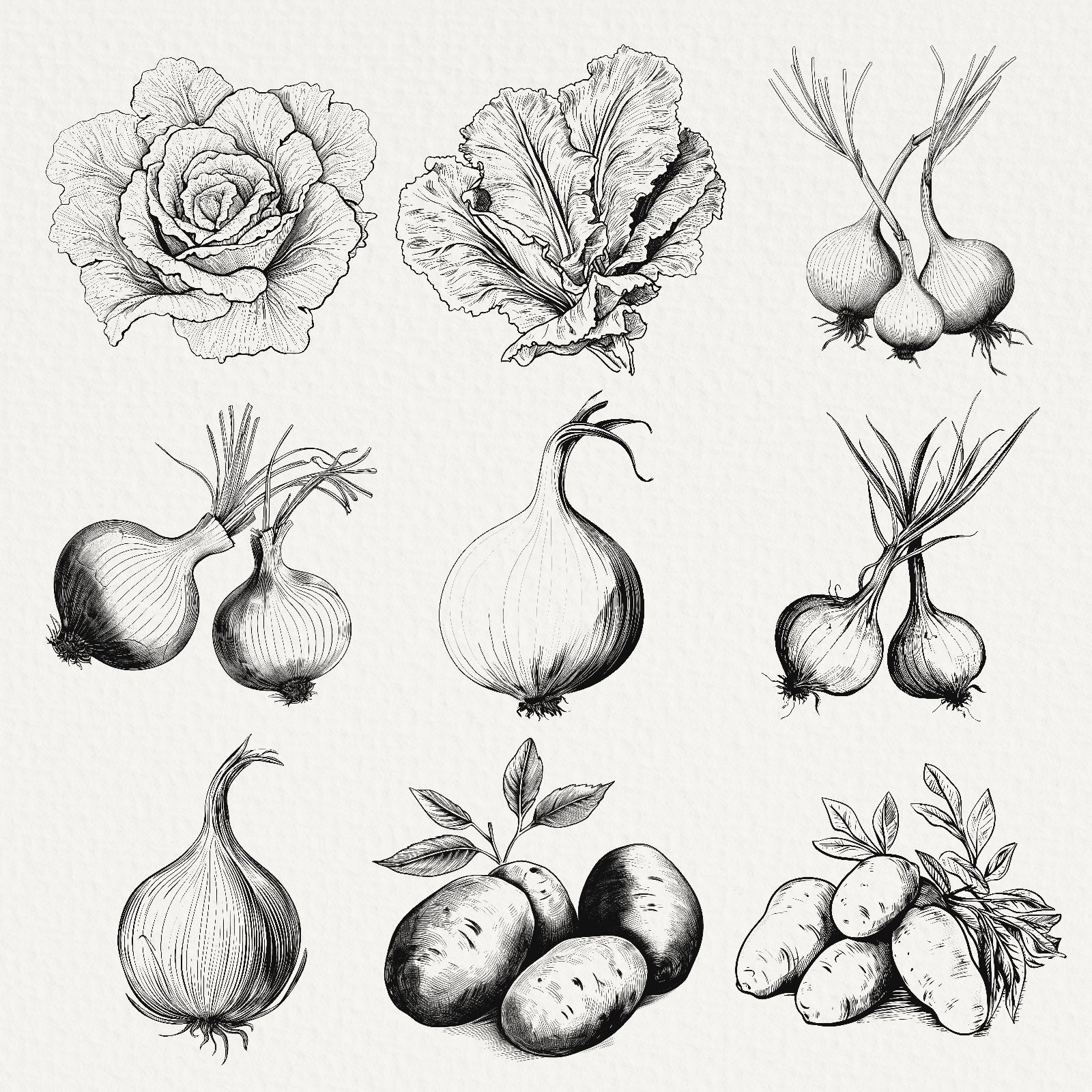56 Vegetable Ink Drawing Clipart, Vegetable Art for Commercial Use ...