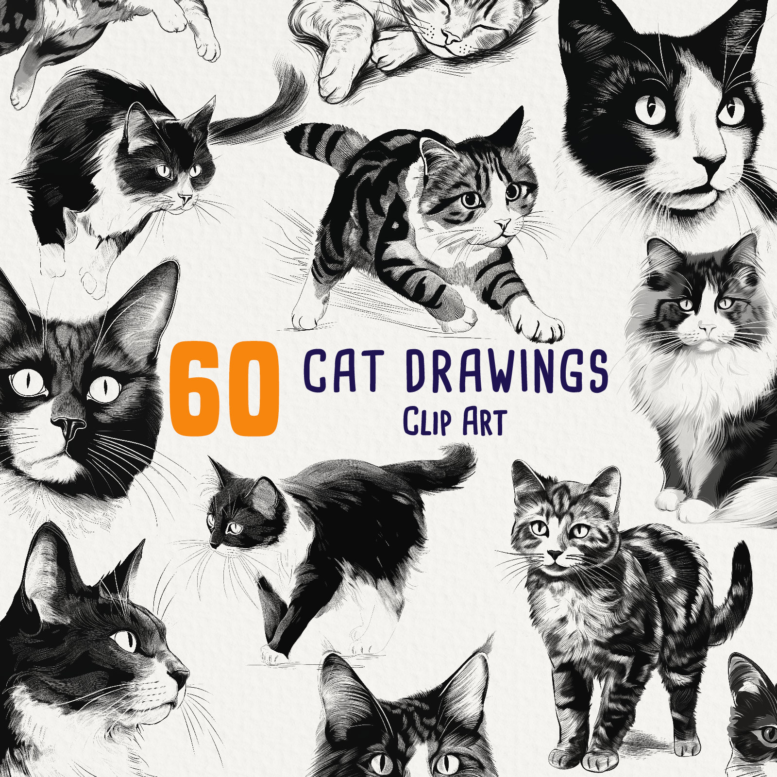 60 Cat Drawings Clipart, Pet Art for Commercial Use, Black Cats ...