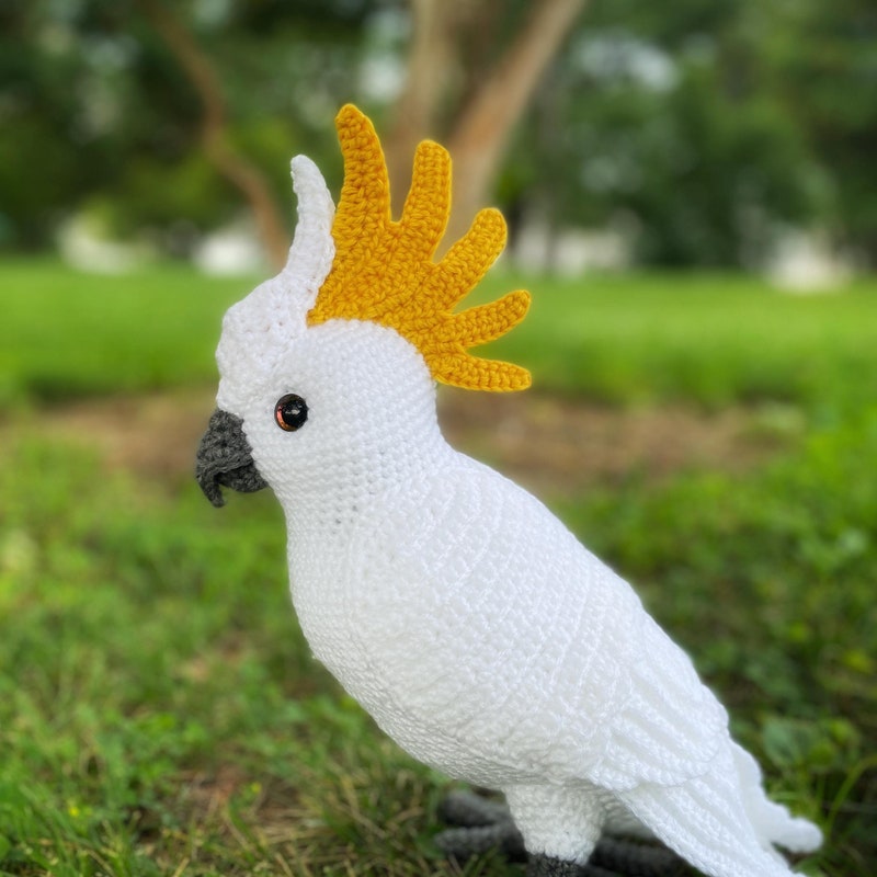 Crochet Parrot Pattern - Etsy