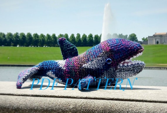 Megalodonhaai Versus Orka Orka Aanvallende Kleine Megalodon Haai Eten