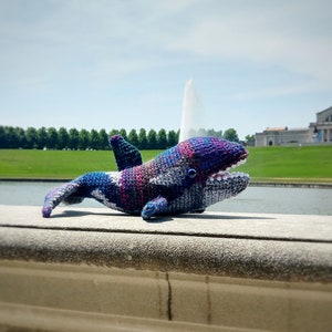 PATTERN ONLY Orca Killer Whale Sea Wolf Amigurumi Crochet - Etsy