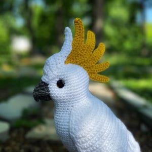 PATTERN ONLY Parrot Amigurumi Crochet Cockatoo African Grey Kea - Etsy