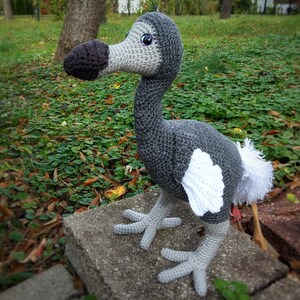 PATTERN ONLY Dodo Amigurumi Crochet - Etsy