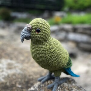 PATTERN ONLY Parrot Amigurumi Crochet Cockatoo African Grey Kea - Etsy