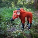 PATTERN ONLY Maned Wolf Amigurumi Crochet - Etsy