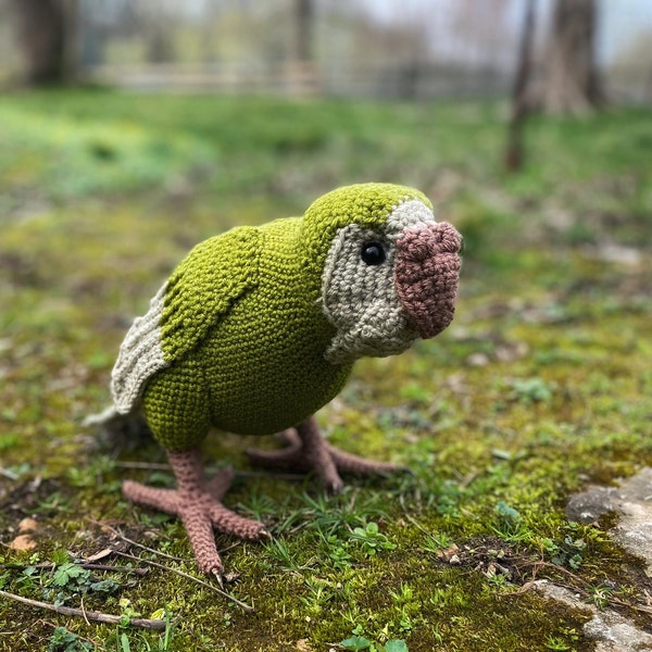 Crochet Parrot Pattern - Etsy