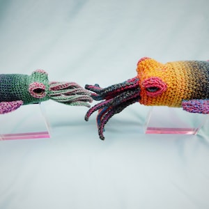 PATTERN ONLY Rainbow Cuttlefish Amigurumi Crochet - Etsy Canada