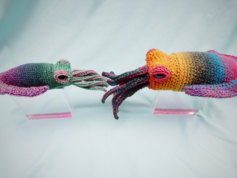 PATTERN ONLY Rainbow Cuttlefish Amigurumi PDF - Etsy Canada