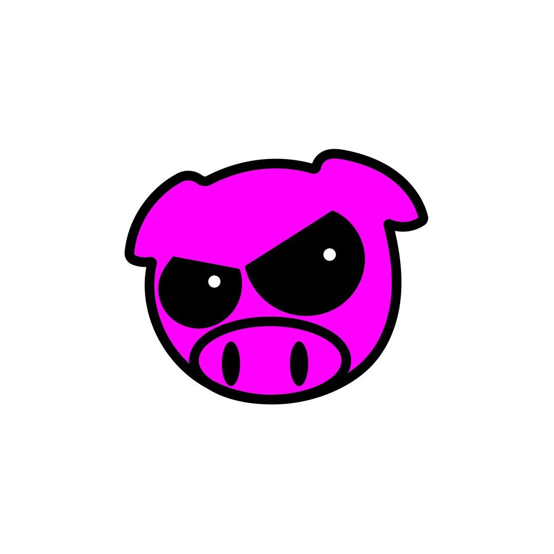 Rally Pig Decal – Custom Sticker | Die Cut | Laptop | Waterbottle ...