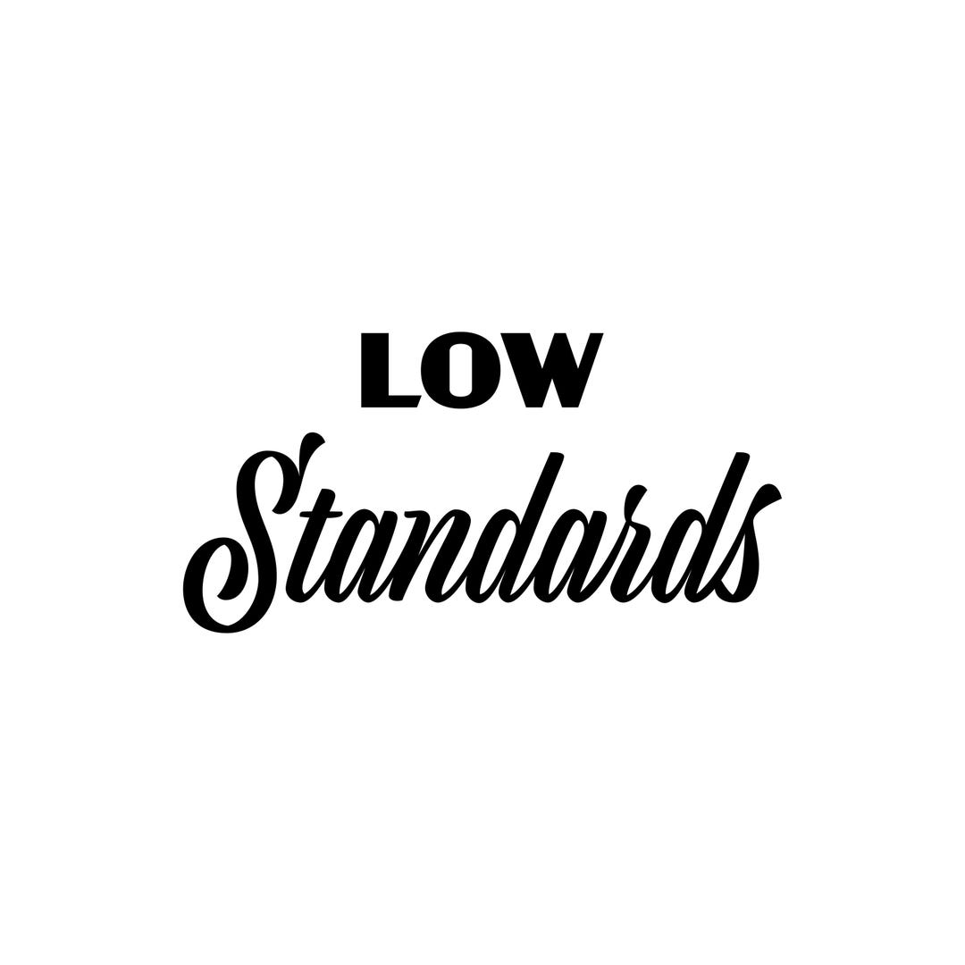 Low Standards Decal – Custom Sticker | Die Cut | Laptop | Waterbottle ...