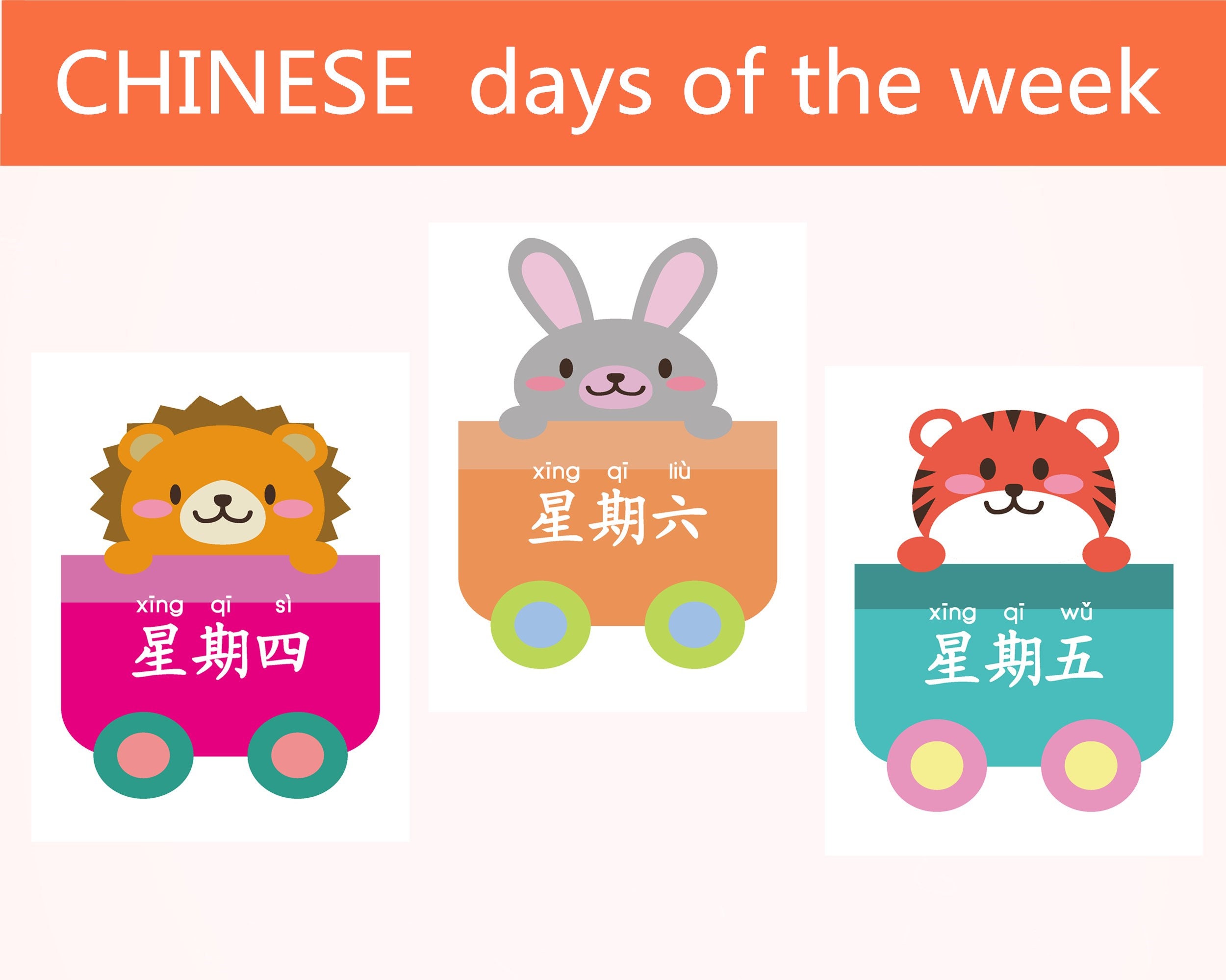 The Days of the Week Oversized Flashcards Chinese Printable - Etsy