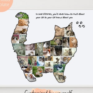 Custom Fluffy Cat Photo Collage Template, Cat Lovers Gift Ideas, Pet ...