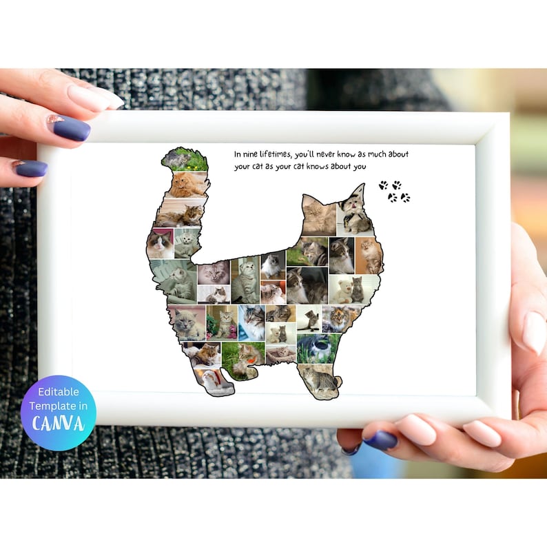 Custom Fluffy Cat Photo Collage Template Cat Lovers Gift - Etsy