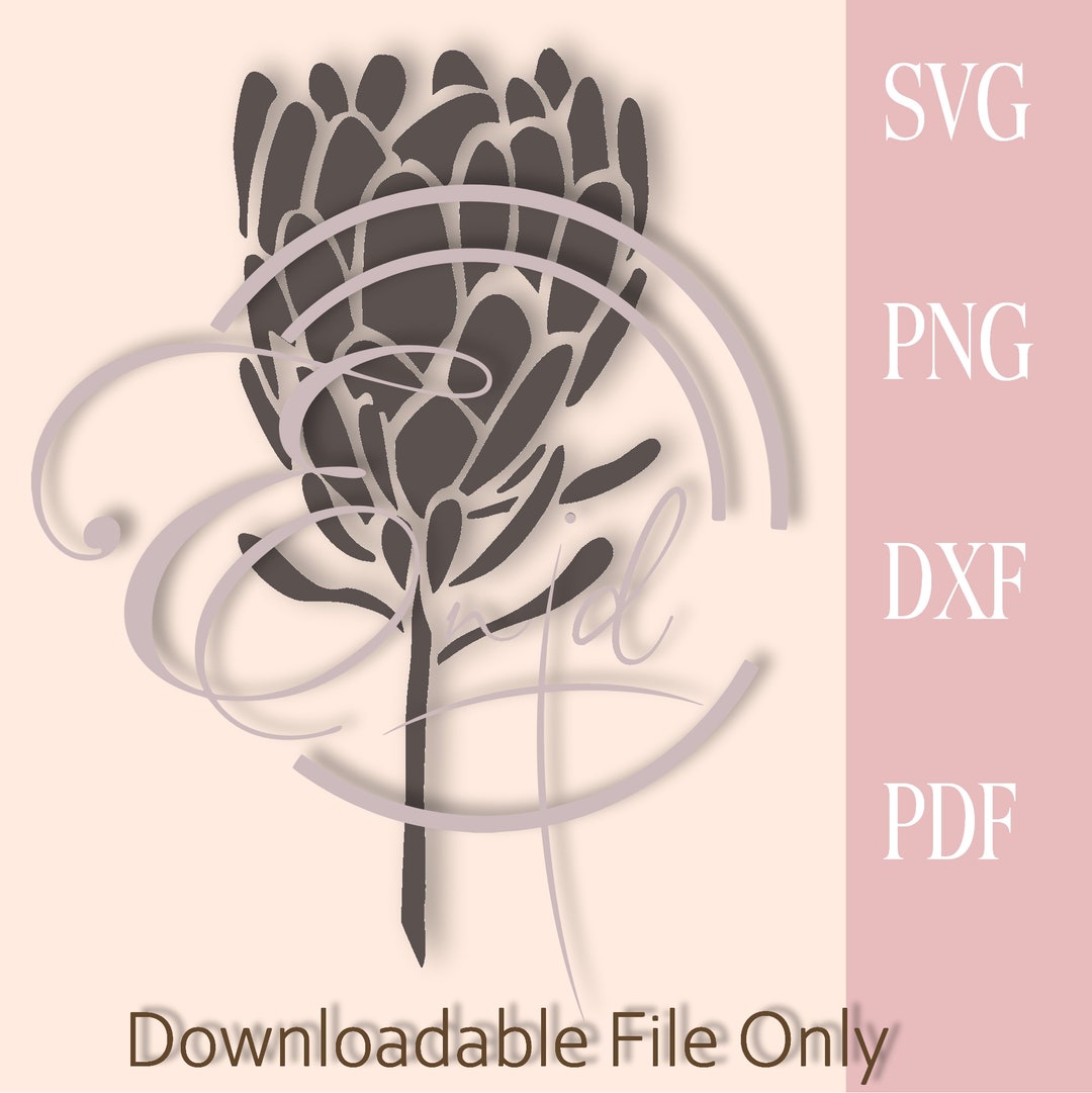 Stencil Design Cut Out Protea 1 SVG / DXF and PNG File This Design Can ...