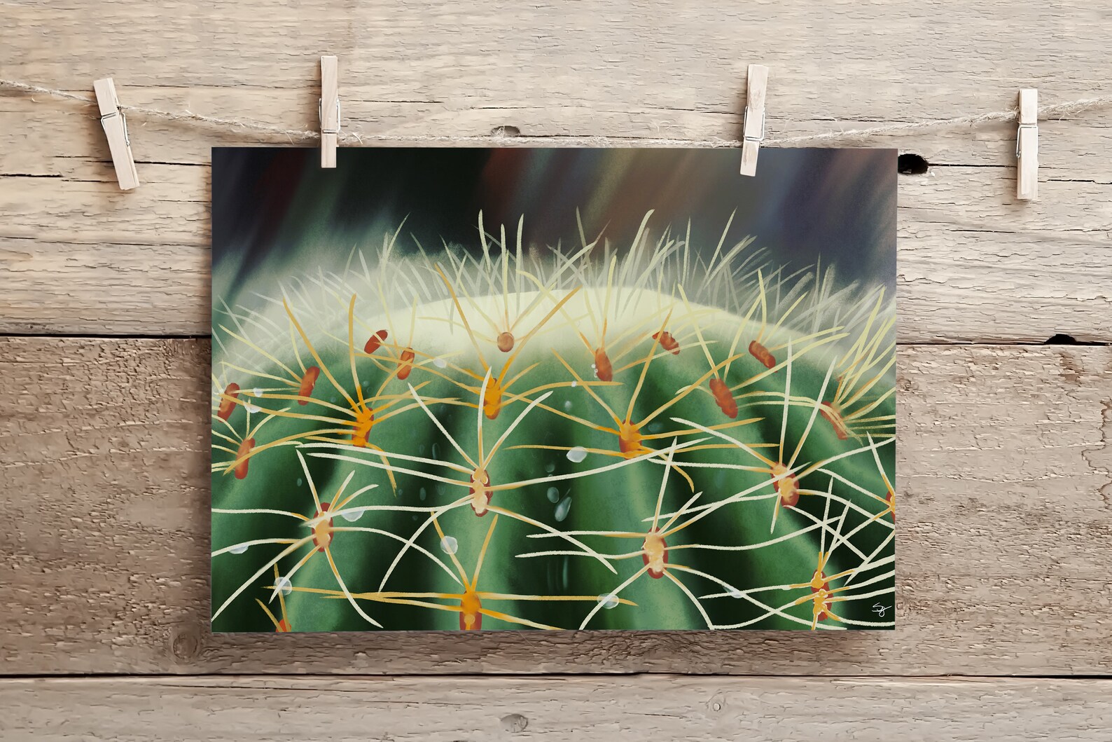 Realistic Cactus Art Print - Etsy