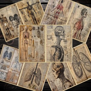 Scrapbook "old Papers - Anatomy" Printable Papers, Scrapbook ...