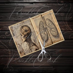 Scrapbook "old Papers - Anatomy" Printable Papers, Scrapbook ...