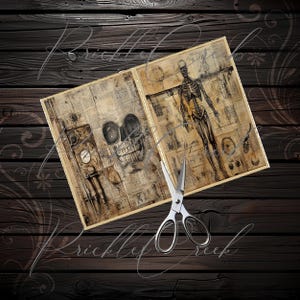 Scrapbook "old Papers - Anatomy" Printable Papers, Scrapbook ...