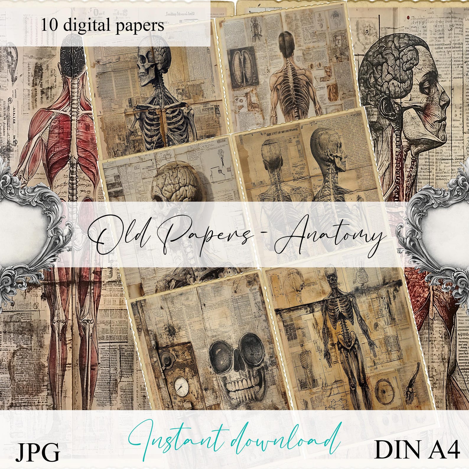 Scrapbook "old Papers - Anatomy" Printable Papers, Scrapbook ...