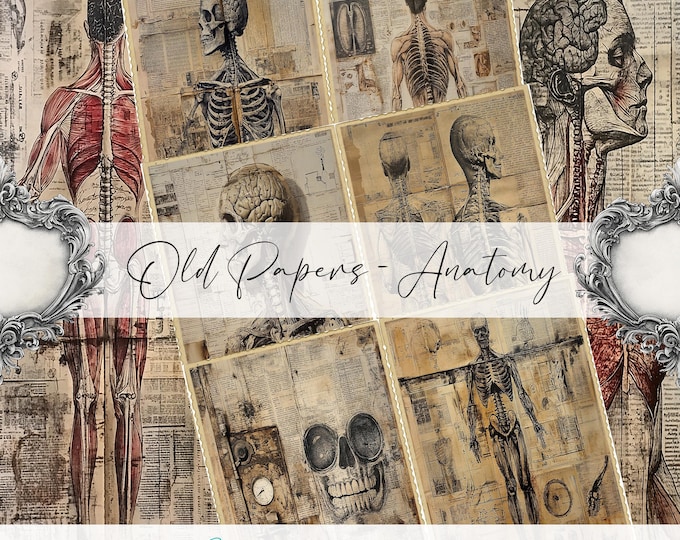 Scrapbook "old Papers - Anatomy" Printable Papers, Scrapbook ...