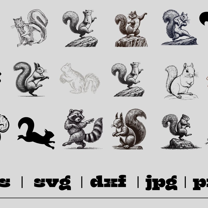 Squirrel Svg - Etsy