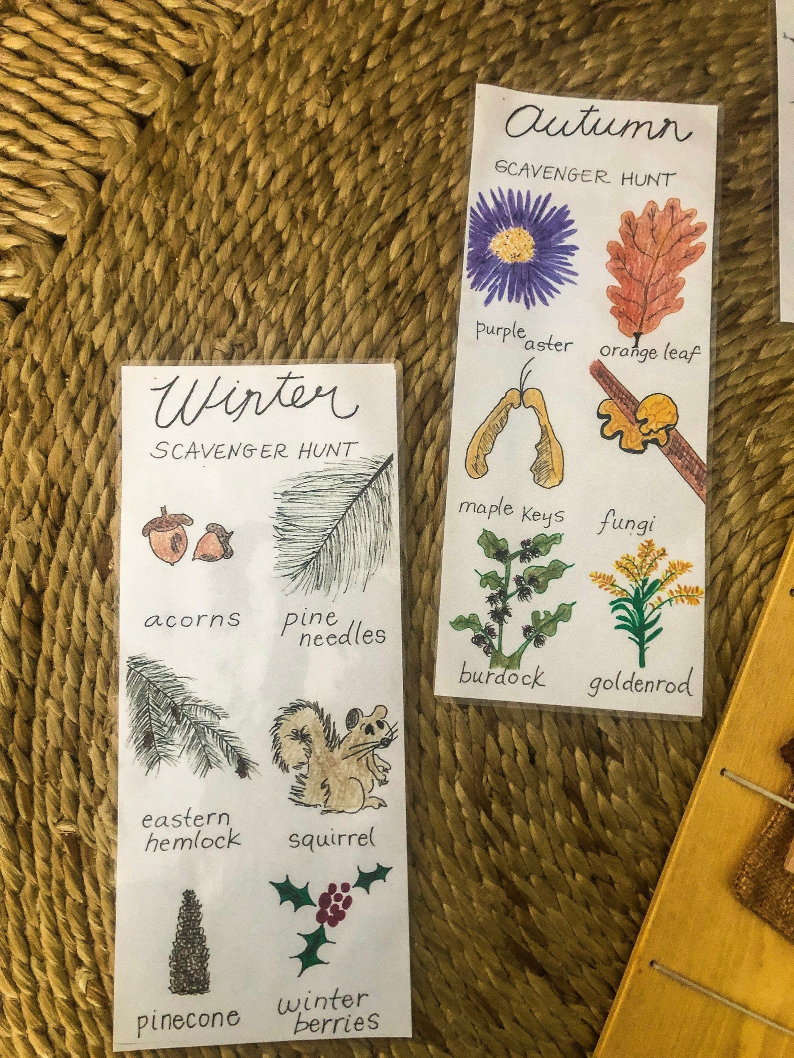 Custom Nature Board for Outdoor Discovery & Adventure - Etsy