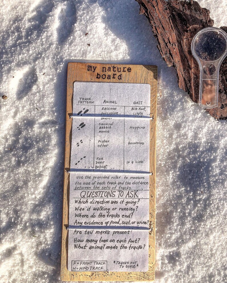 Animal Tracks Digital - Etsy