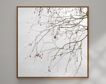 Color Photography - Etsy