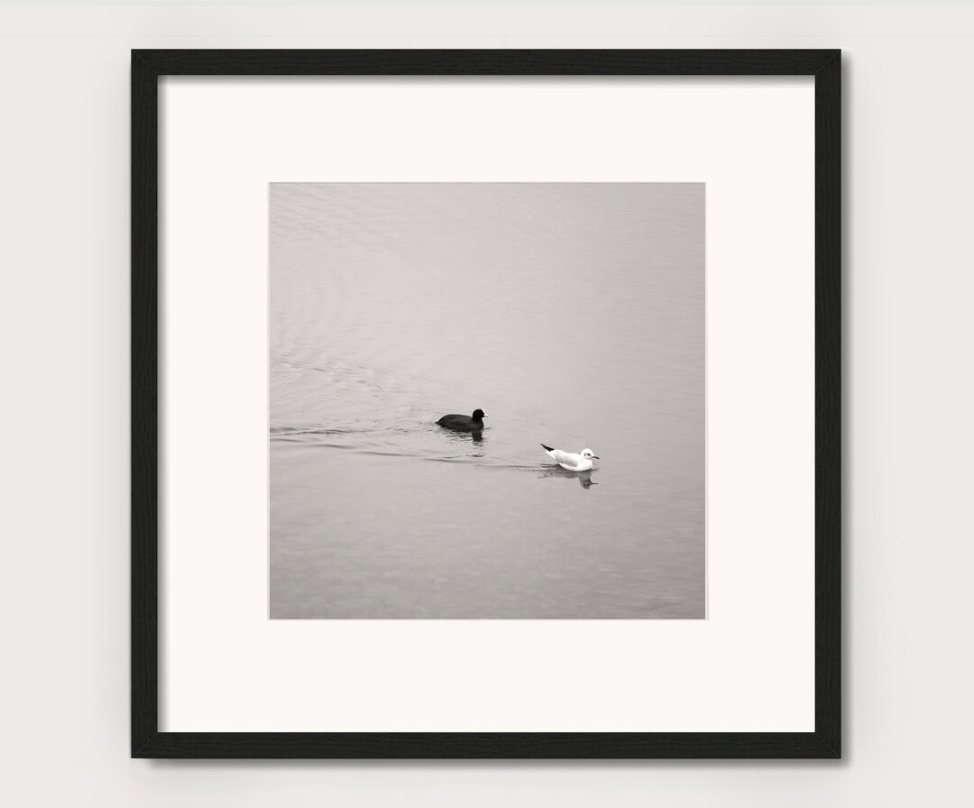 ZEN Photography ying & Yang Photo Print or Canvas Print, Various Sizes ...