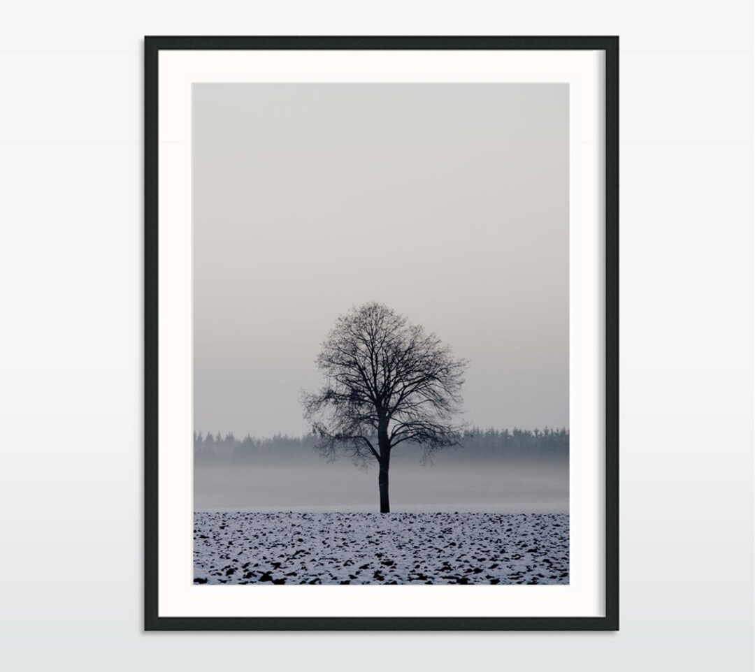 Art Photography "winter Tree" - Photo Print Unframed or Canvas Print ...
